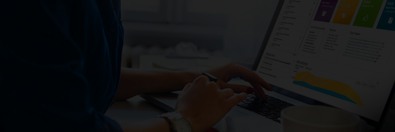 CMS Development In Dubai | Content Management System